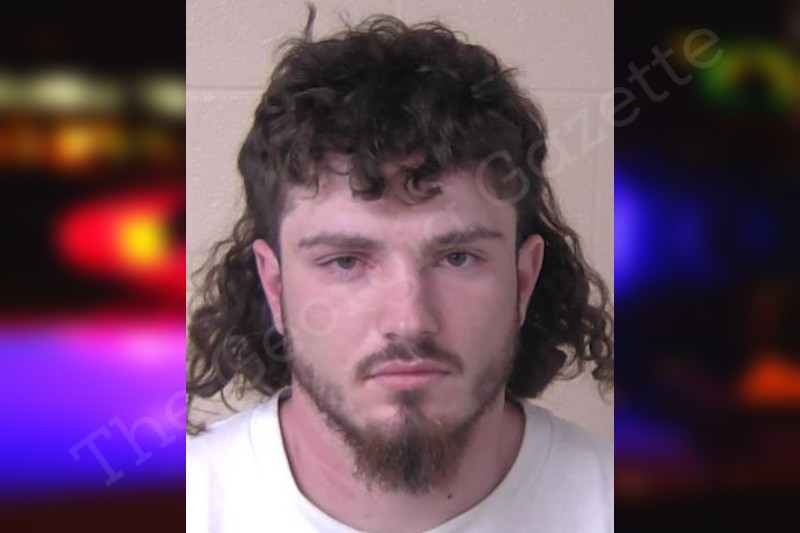 Stacy Hightower — Walker County Jail Bookings