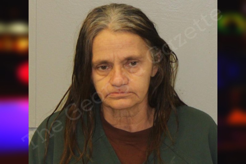 Lisa Hatcher — McIntosh County Jail Bookings