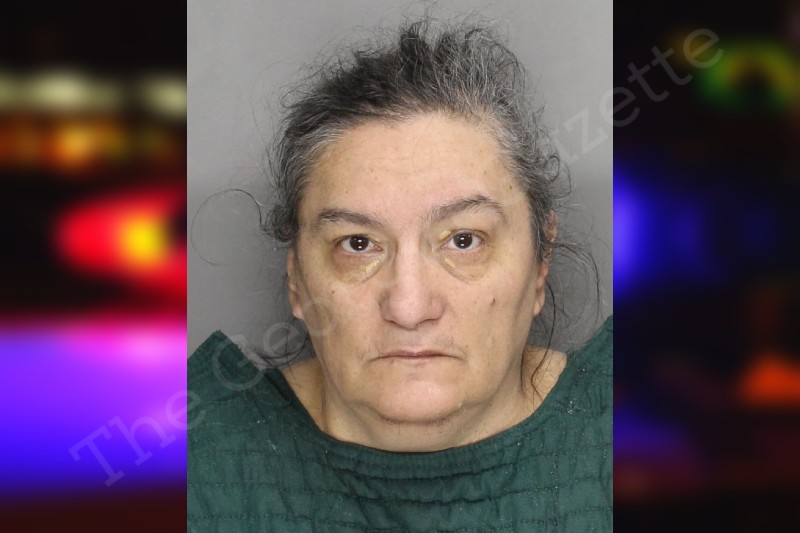 Jasmina Jovic — Cobb County Jail Bookings