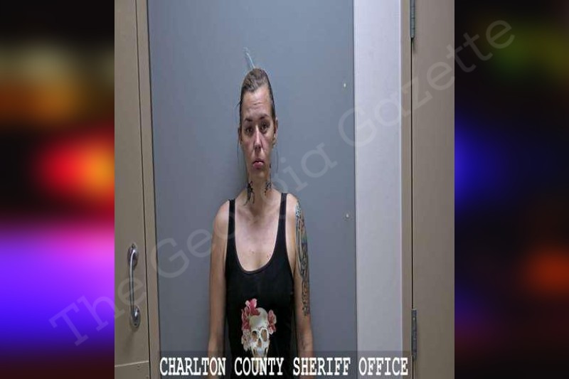 Amber Johnson — Charlton County Jail Bookings