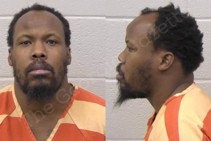 Tyese King | Paulding County Jail Bookings