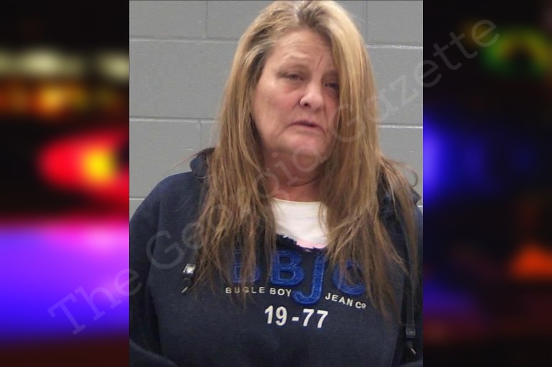 Lisa Lewis — Baldwin County Jail Bookings