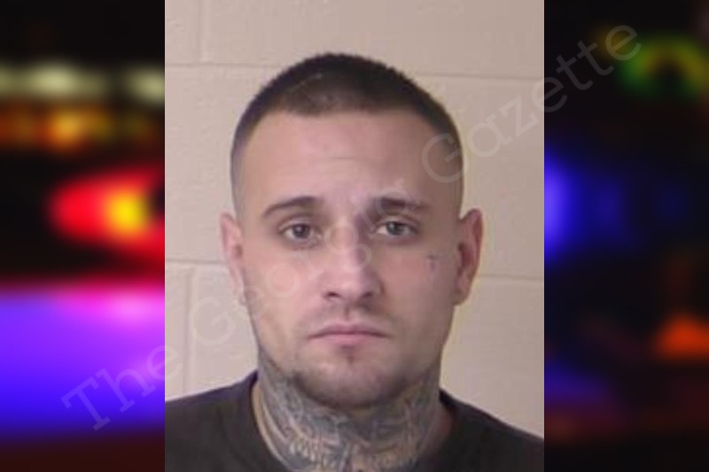 Justin Leming — Walker County Jail Bookings