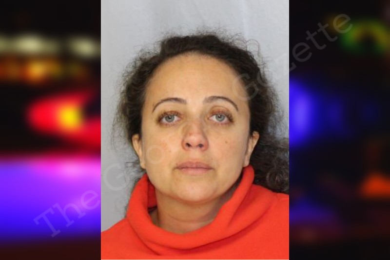 Mary Mikhael — Hall County Jail Bookings