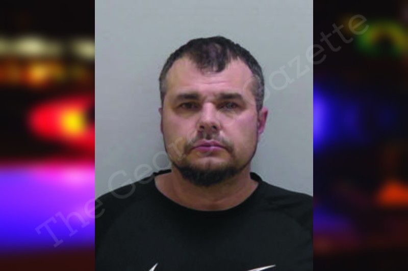 Andrew Mansfield — Bartow County Jail Bookings