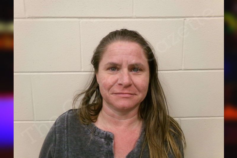 Maggie Mathis — Bulloch County Jail Bookings