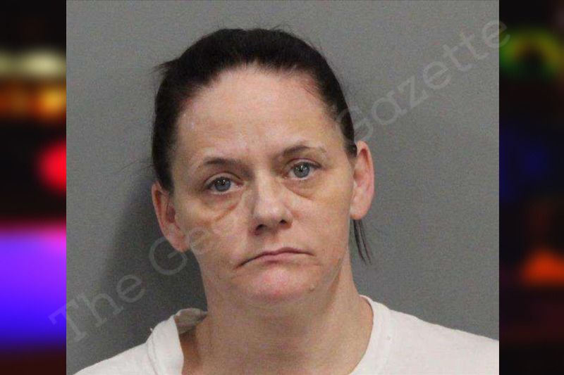 Shannon Mathis — White County Jail Bookings