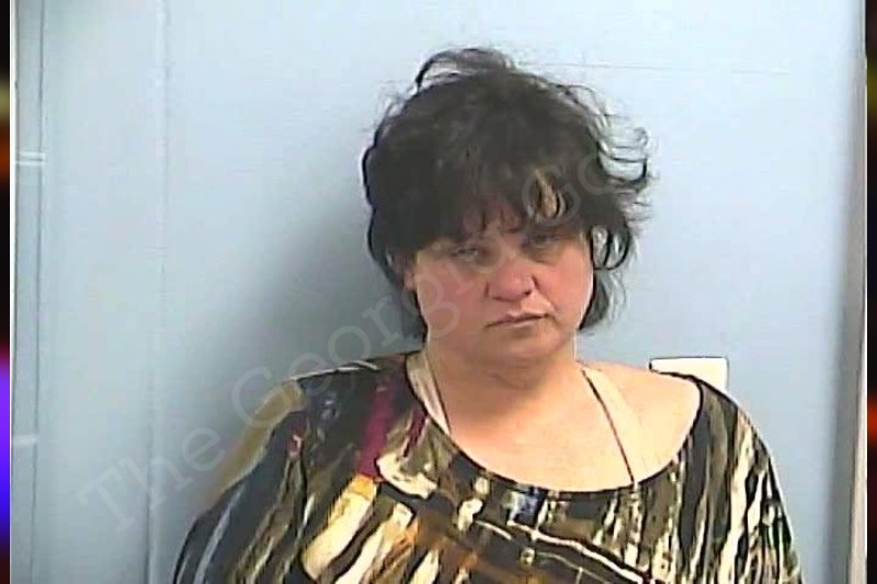 Michelle Morton — Dawson County Jail Bookings