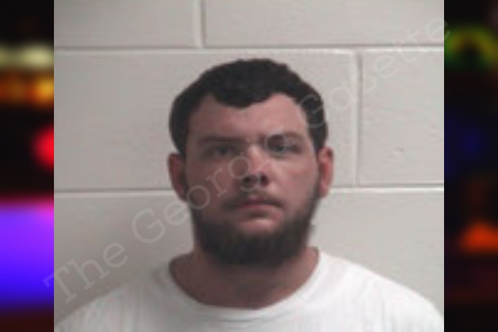 Caleb Moss — Henry County Jail Bookings
