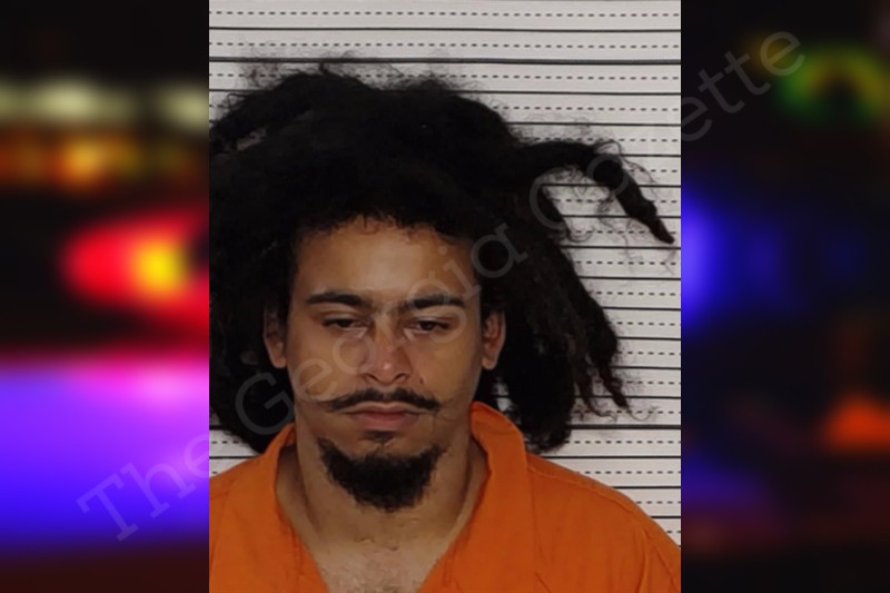 Alexander Narey — Rockdale County Jail Bookings