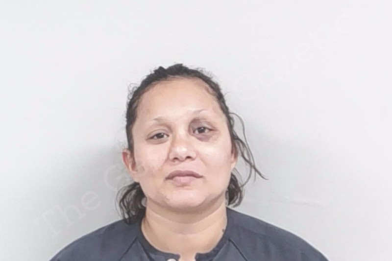 Leivanny Pando — Lowndes County Jail Bookings