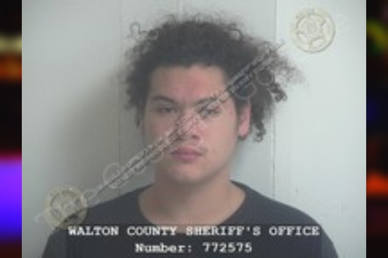 Jacob Paschal — Walton County Jail Bookings