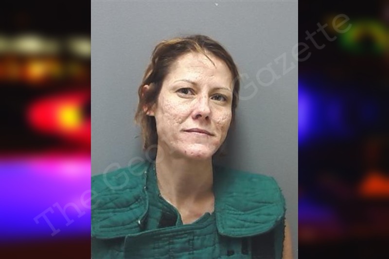 Sarah Poe — Cherokee County Jail Bookings