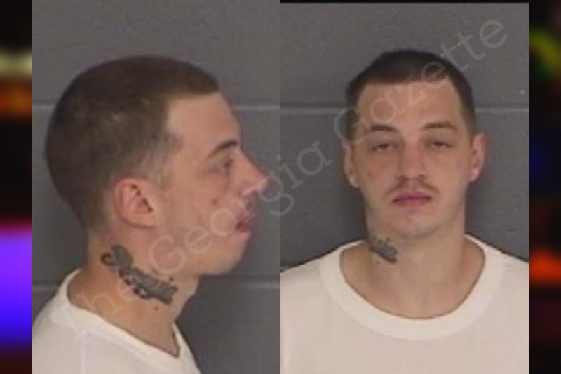 Gregory Phillips — Barrow County Jail Bookings