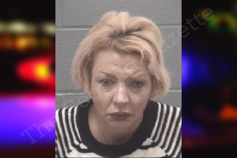 Kimberly Rickerson — Columbia County Jail Bookings