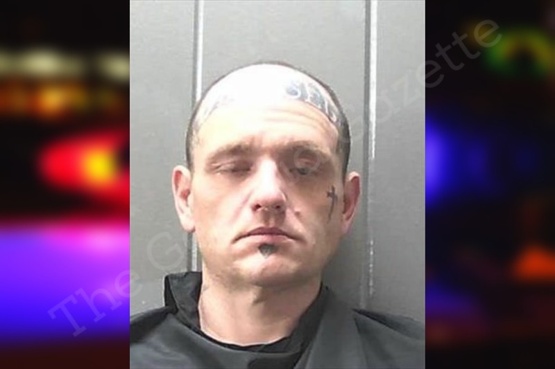 Aaron Ricks — Hart County Jail Bookings