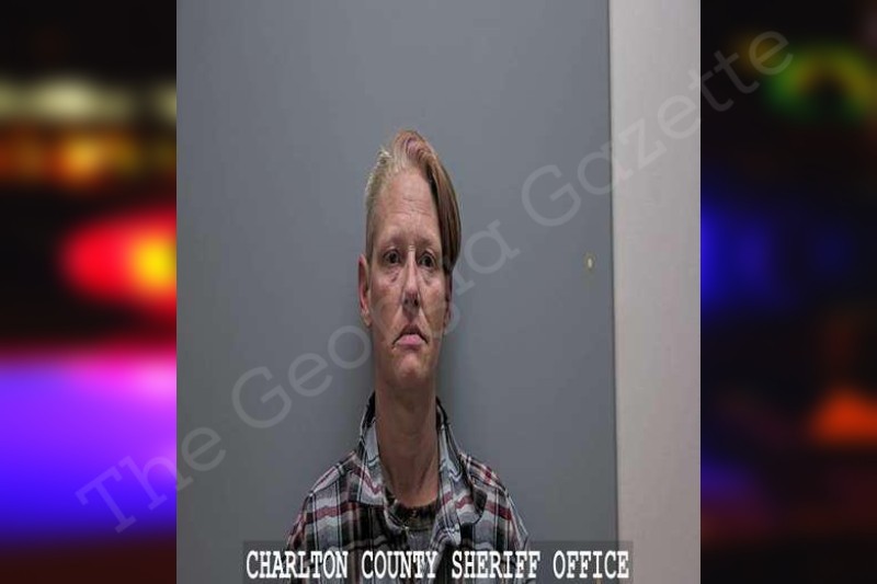 Meighan Rosier — Charlton County Jail Bookings