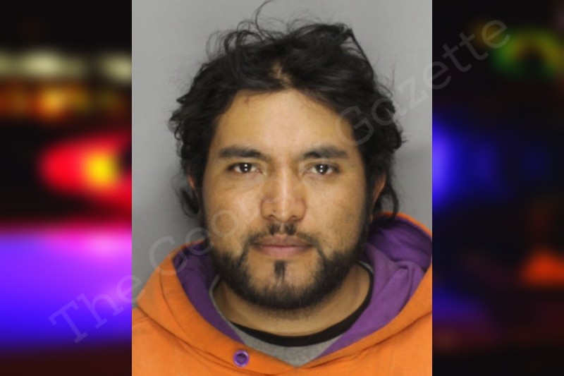 Hugo Silva — Cobb County Jail Bookings