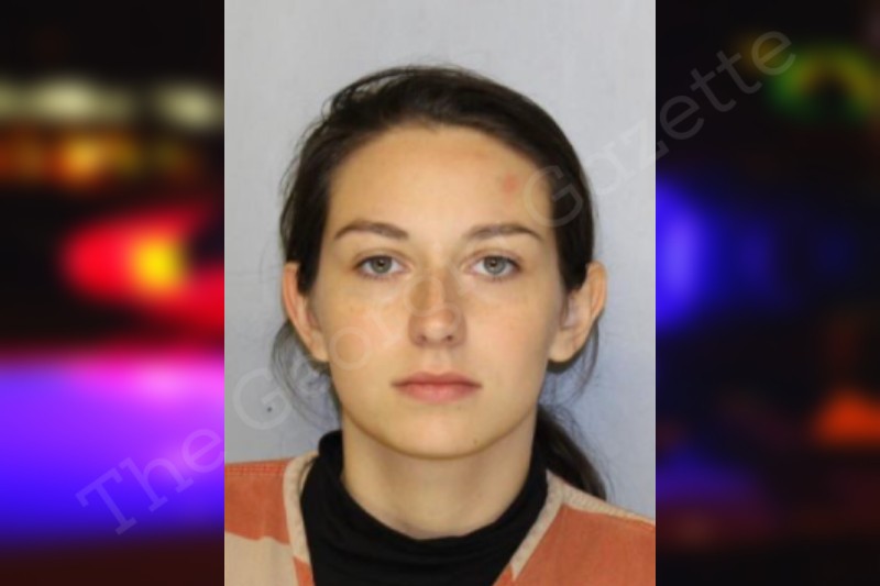 Faith Stein — Hall County Jail Bookings