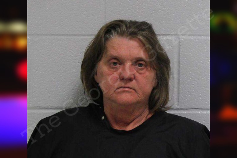 Cynthia Stephens — Carroll County Jail Bookings