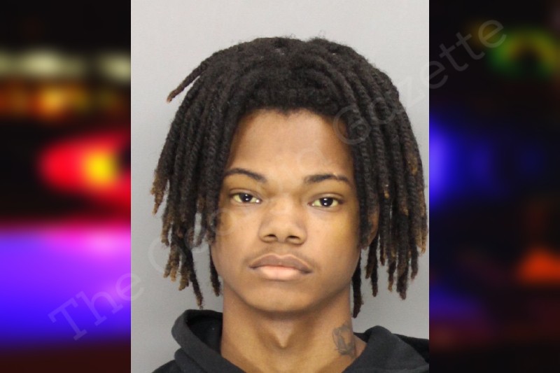 Tyson Sutton — Cobb County Jail Bookings