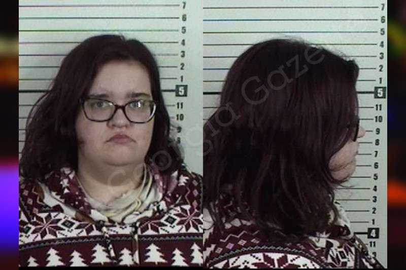 Casey Sanders — Camden County Jail Bookings