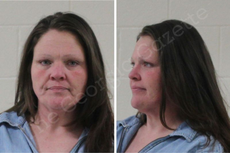 Heather Singleton — Houston County Jail Bookings