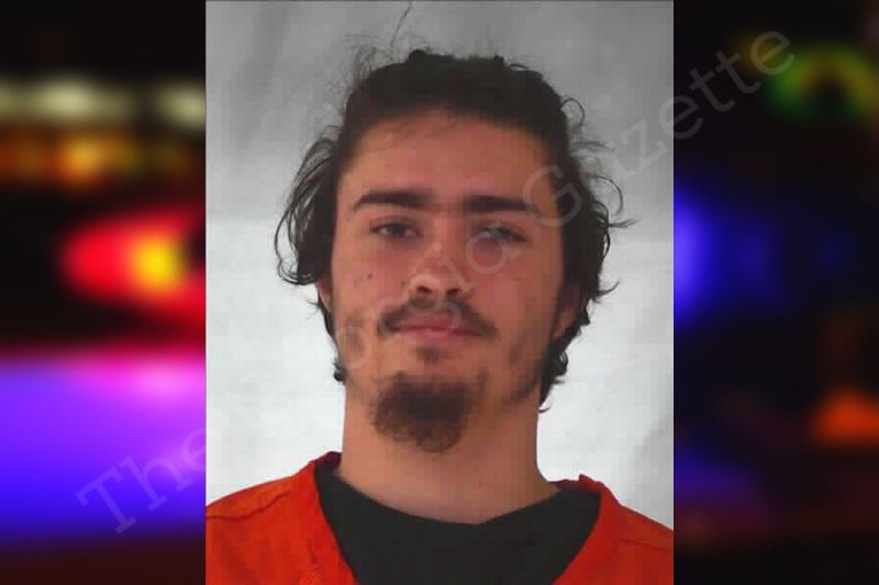 Brandon Skinner — Seminole County Jail Bookings