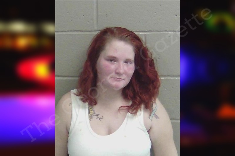 Brittany Slone — Wayne County Jail Bookings