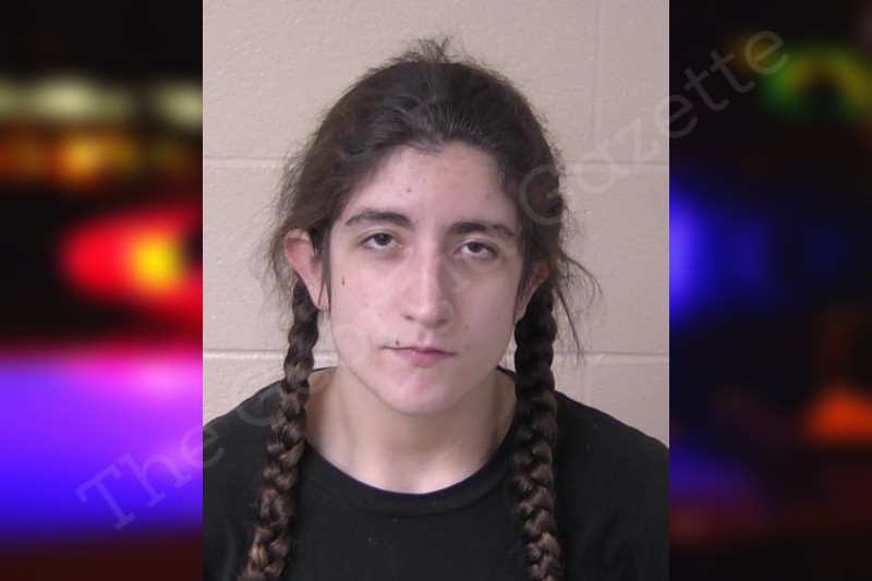 Alexis Stone — Walker County Jail Bookings
