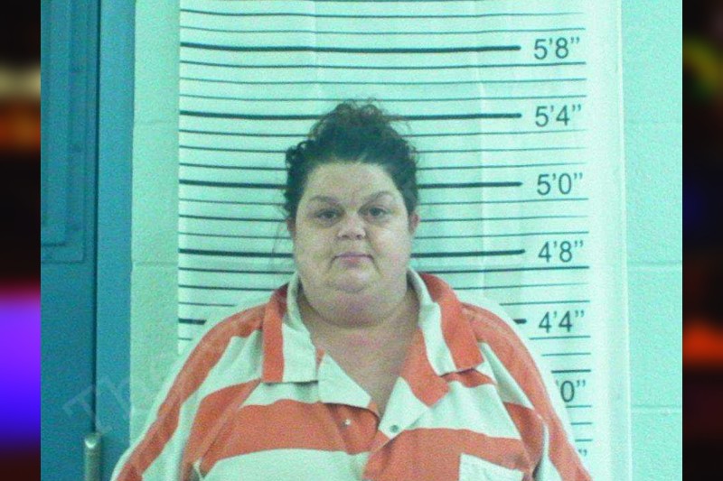 Angela Tyler — Stephens County Jail Bookings