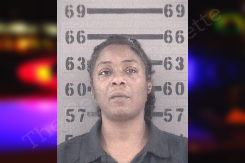Mary Toomer — Dougherty County Jail Bookings