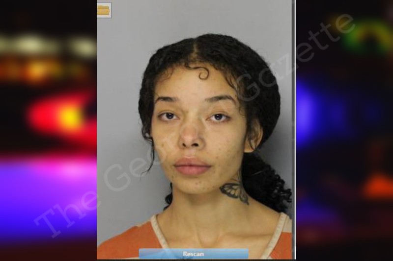 Olycia Vanterpool — Hall County Jail Bookings