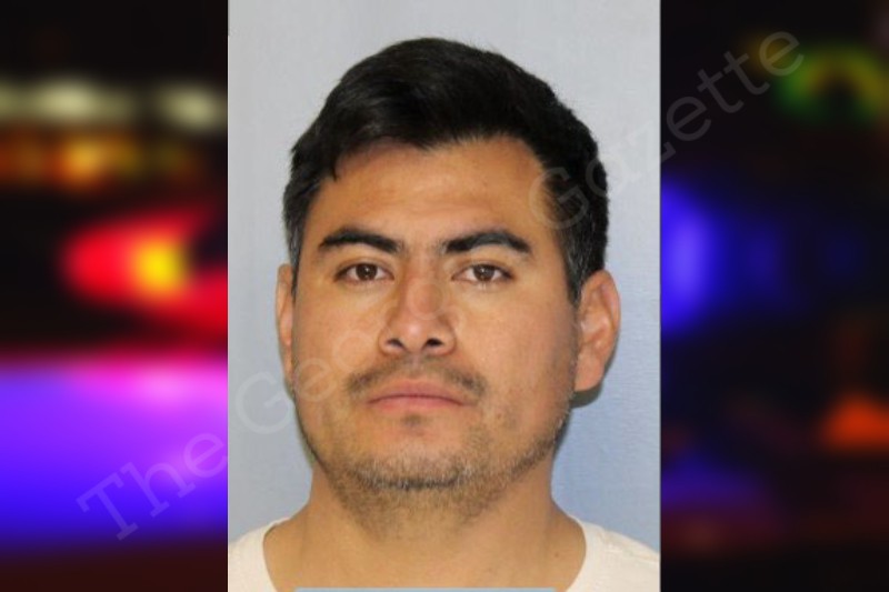 Adan Viveros-Alonso — Hall County Jail Bookings