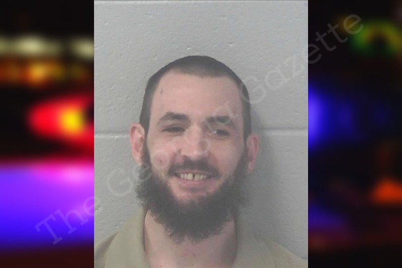 Michael Walden — Newton County Jail Bookings