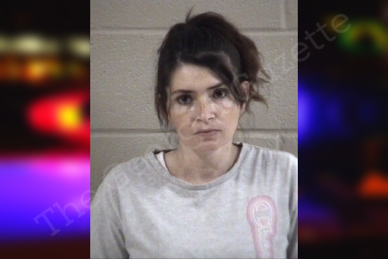Vanessa Young — Whitfield County Jail Bookings