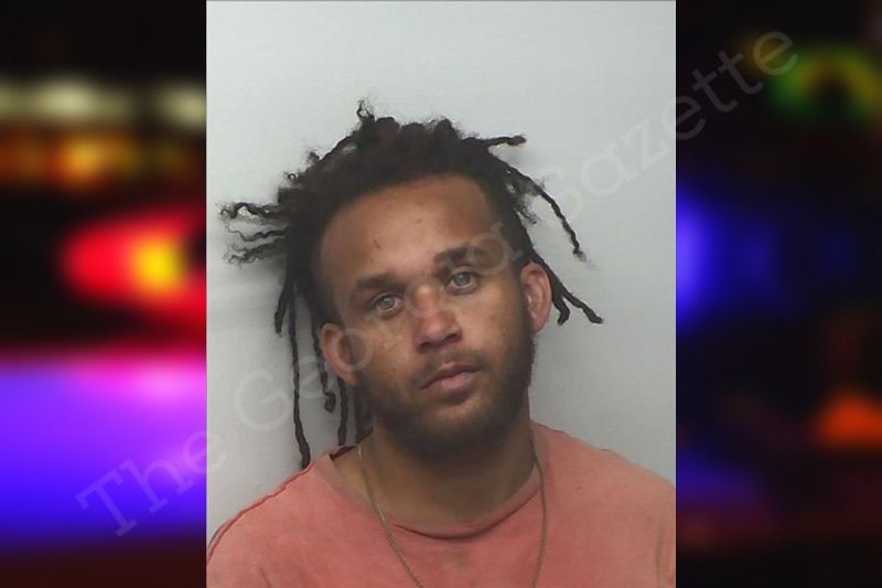 Maison Zirkle — Lanier County Jail Bookings