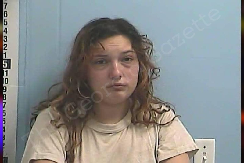 Patience Alizadeh — Dawson County Jail Bookings