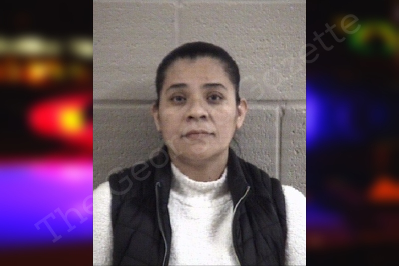 Elvia Angel-Chan — Whitfield County Jail Bookings
