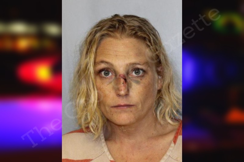 Ashley Bergman — Hall County Jail Bookings