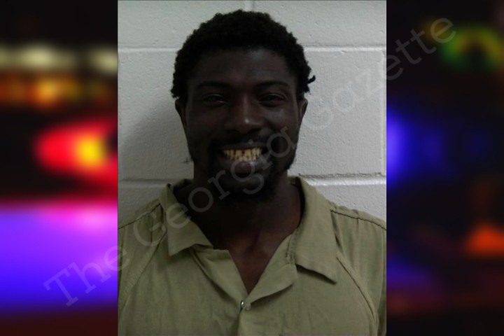 Michael Brown — Decatur County Jail Bookings