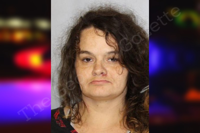 Teresa Bruce — Hall County Jail Bookings