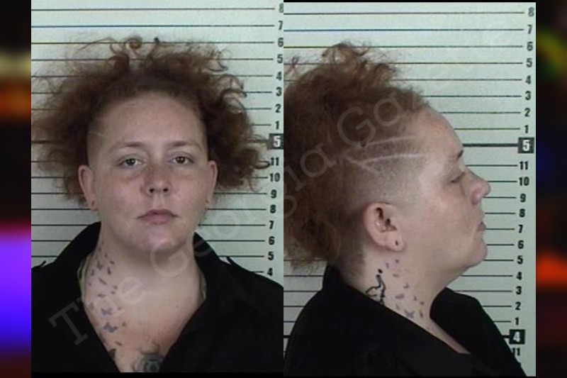 Billie Bachman — Camden County Jail Bookings