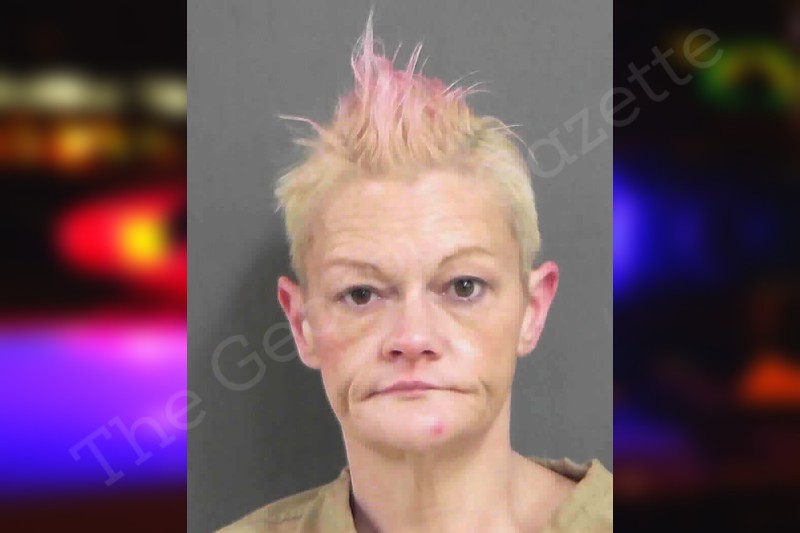 Jessica Baker — Gordon County Jail Bookings