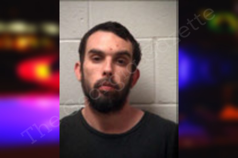 Casey Barnes — Henry County Jail Bookings