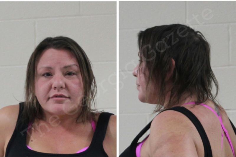 Amber Boyce — Houston County Jail Bookings
