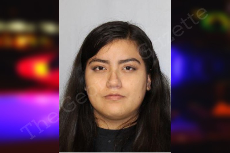 Laura Castro-Ledezma — Hall County Jail Bookings