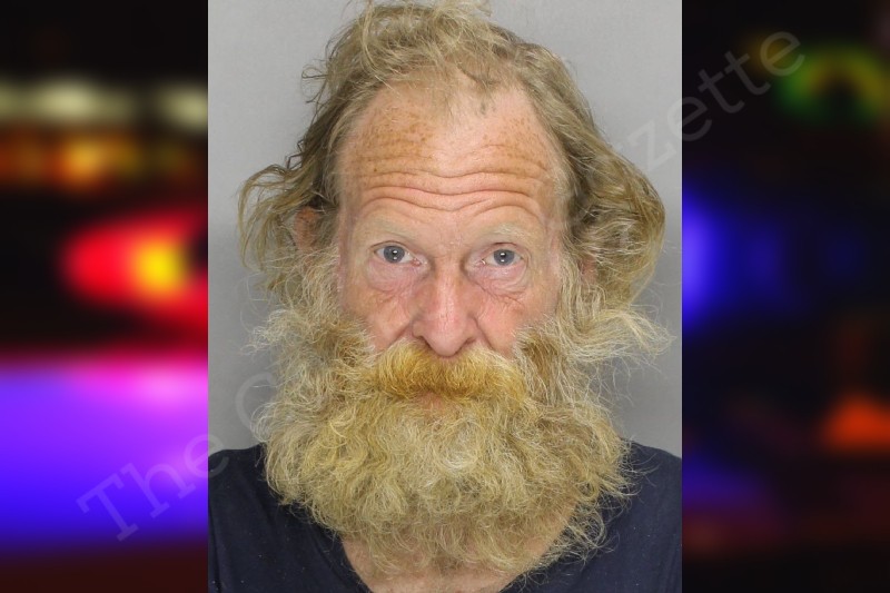 David Chism | Cobb County Jail Bookings