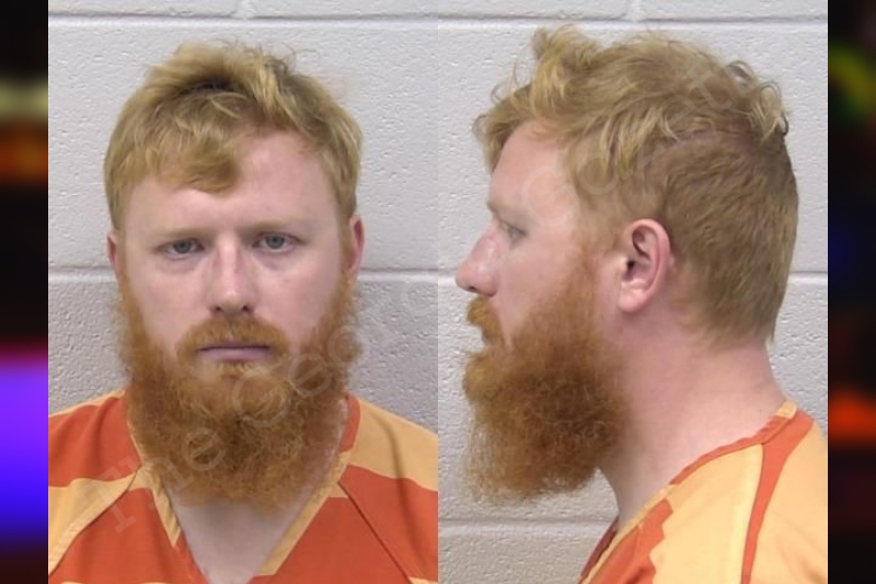 Tyler Callison — Paulding County Jail Bookings