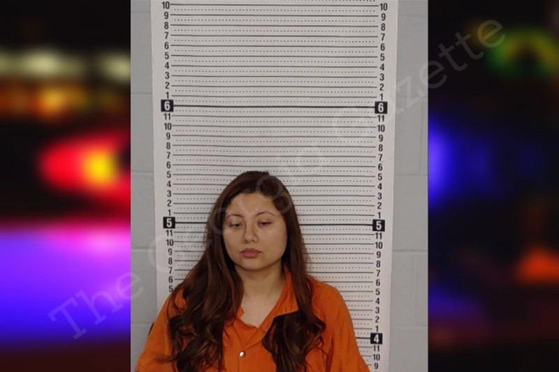 Jessica Castaneda — Rockdale County Jail Bookings
